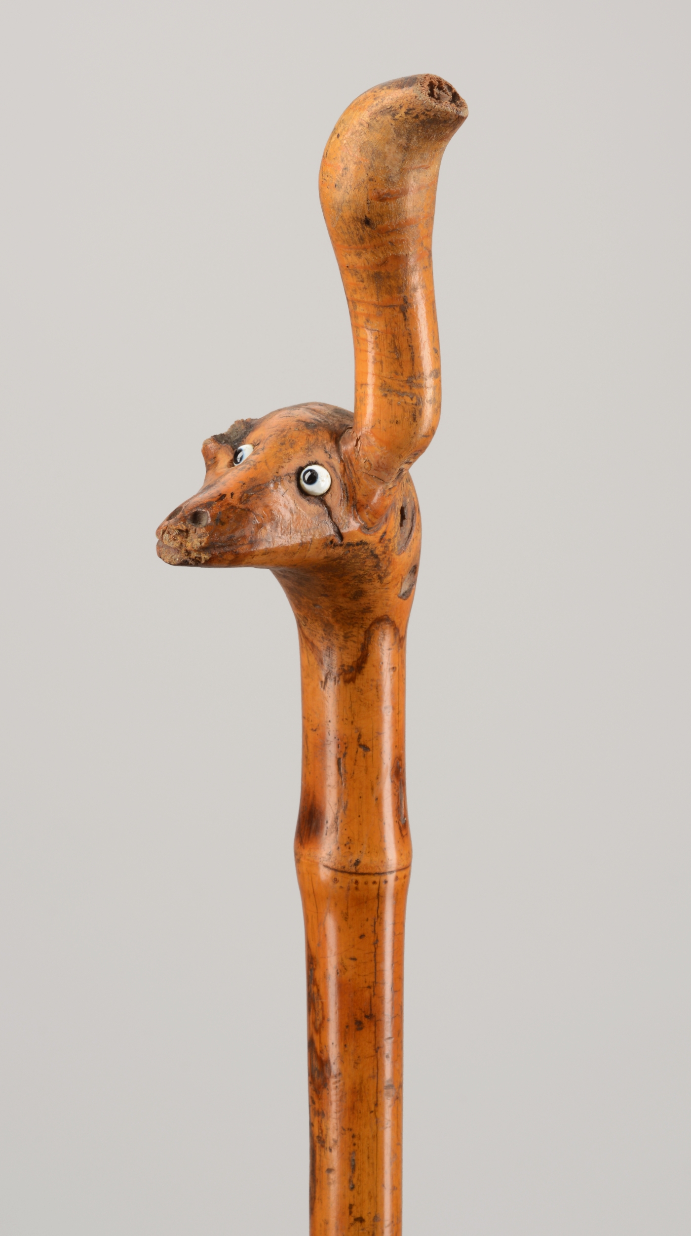 South African Animal Head Staff. Natural Ethnographic Object? | Museum ...