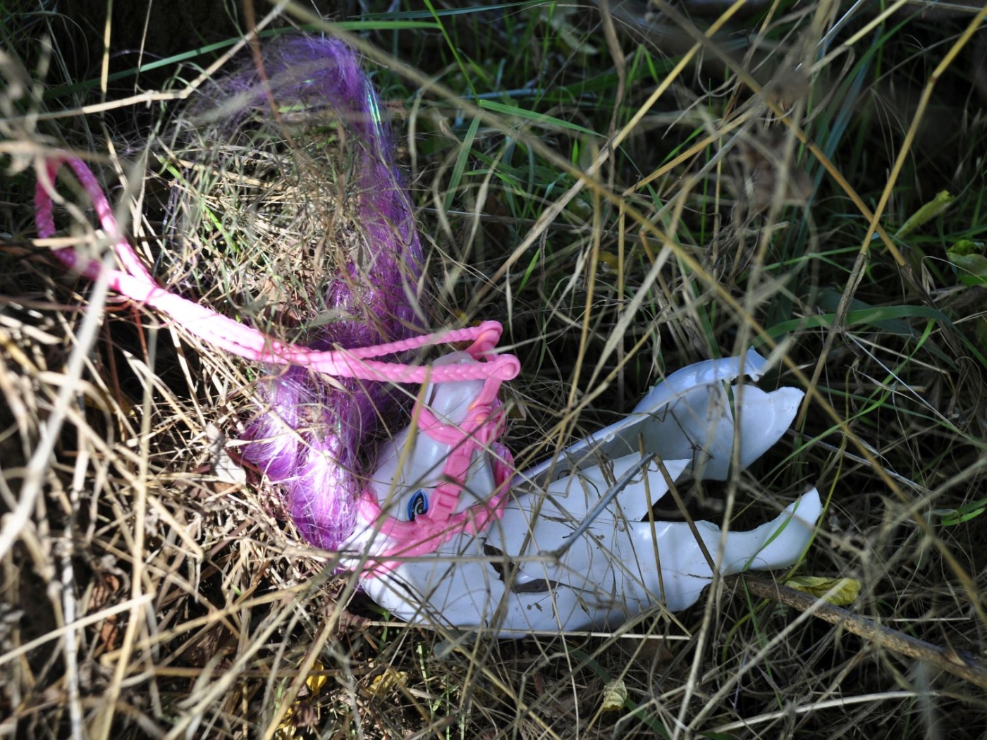 Objects Left Behind | Museum of Ethnography