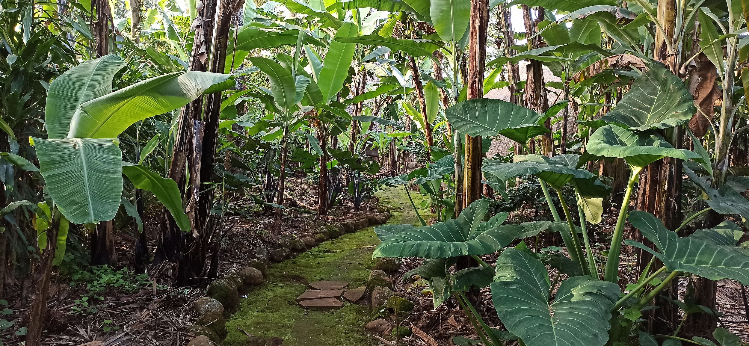 Ethnography and Archaeology in the Kilimanjaro and Meru Region | Museum ...